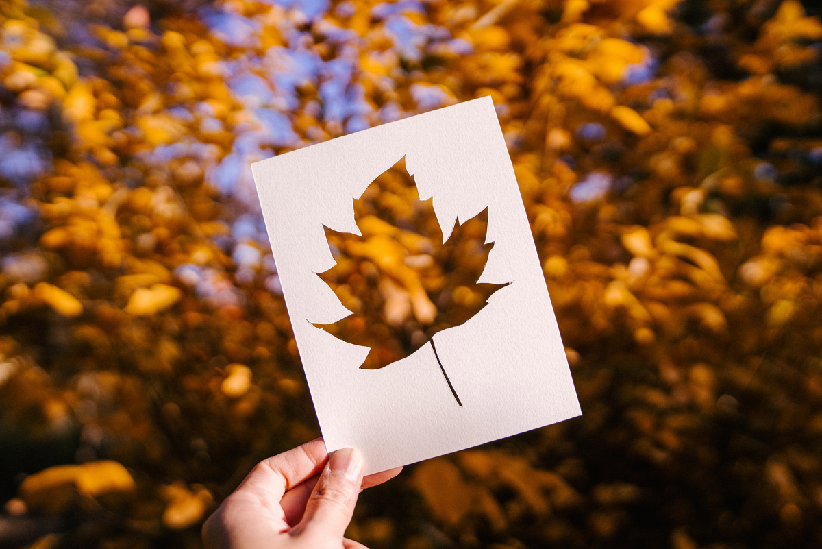 Best Applications and Processes for Glitter Printing, Everything You N ...